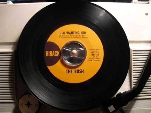 The Bush - I'm wanting her (60's MOODY GARAGE ROCK)