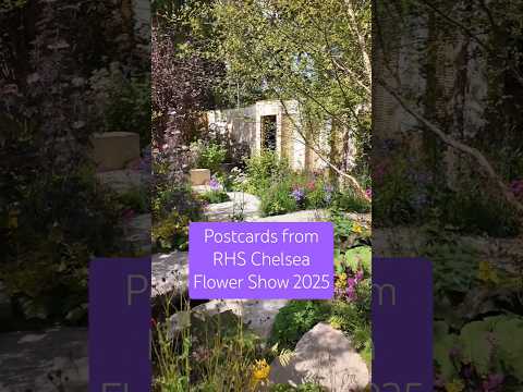 Stop doom scrolling and take in the beauty of RHS Chelsea Flower Show 2025