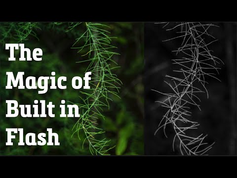 Why Built in Flash is Useful