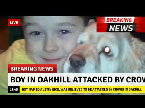 BNWV: Boy Attacked by crows in OakHill West Virginia- March 6