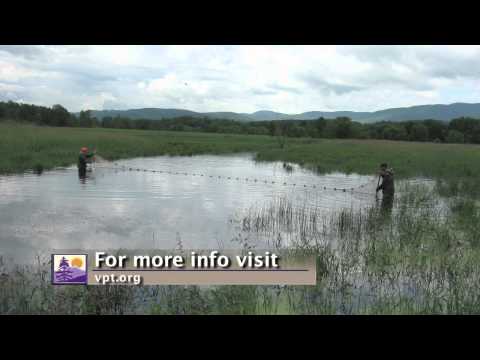 Pomainville Wildlife Management Area