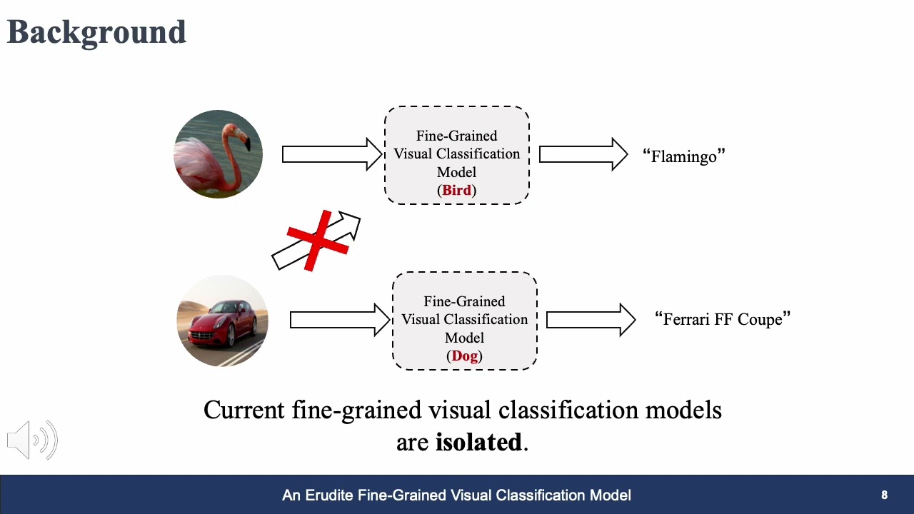 An Erudite Fine-Grained Visual Classification Model. CVPR23
