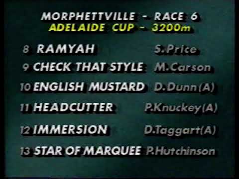 1993 Adelaide Cup
