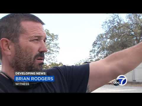 Guns recovered after series of Northern California shootings kill 5, wound child at school