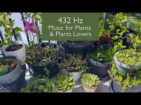Music for Plants π± 432 Hz Frequency for Powerful Growing and Healing