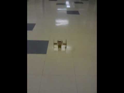 mouse trap car