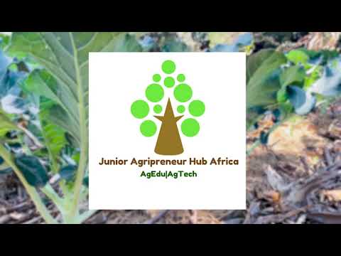 Best Organic Farm in Lusaka: Climate Smart Agriculture Zambia