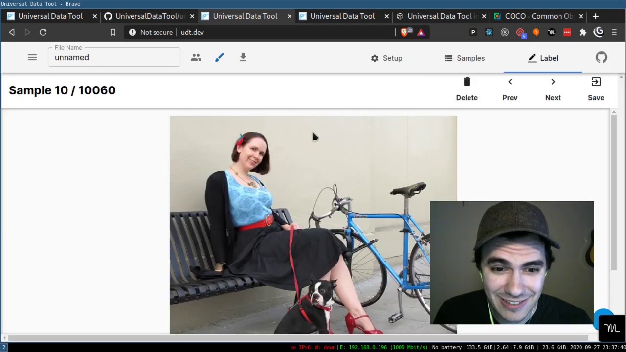 Import COCO Datasets WITHOUT pain