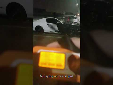 Flipper Zero Vs. Mustang