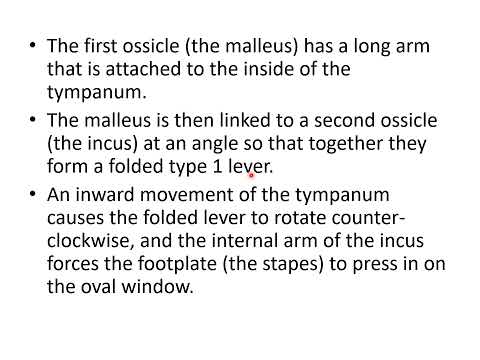 Middle ear function - Impedance matching