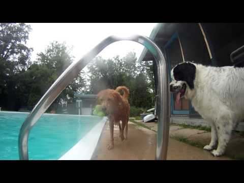 GOPR9773.MP4