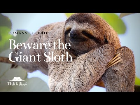 Beware the Giant Sloth | Pastor James W. Knox | Romans 12 - Lesson 12