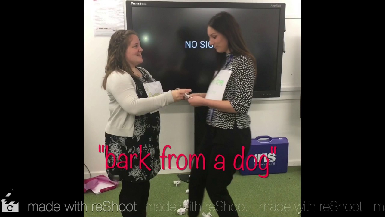 Ferguson's Flipology- Multi- store model of memory