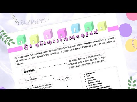 MAPA CONCEPTUAL EN WORD(niveles de atención en salud)|APUNTES BONITOS