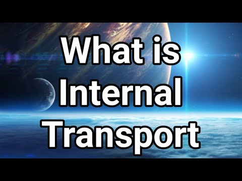 What is Internal Transport. Urdu/ English