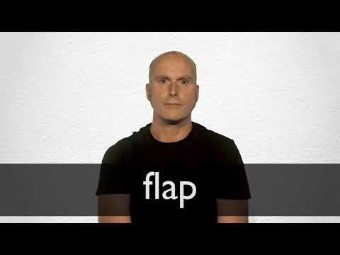 FLAP - Meaning & Translations | Collins English Dictionary
