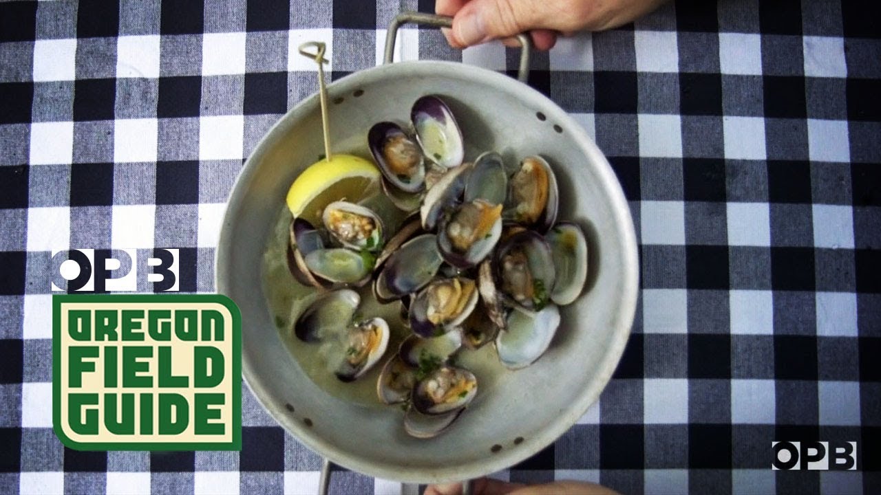Why There Are Plastics In Pacific Northwest Shellfish