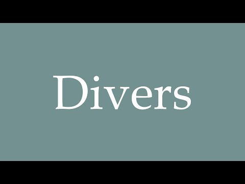 How to Pronounce ''Divers'' Correctly in French