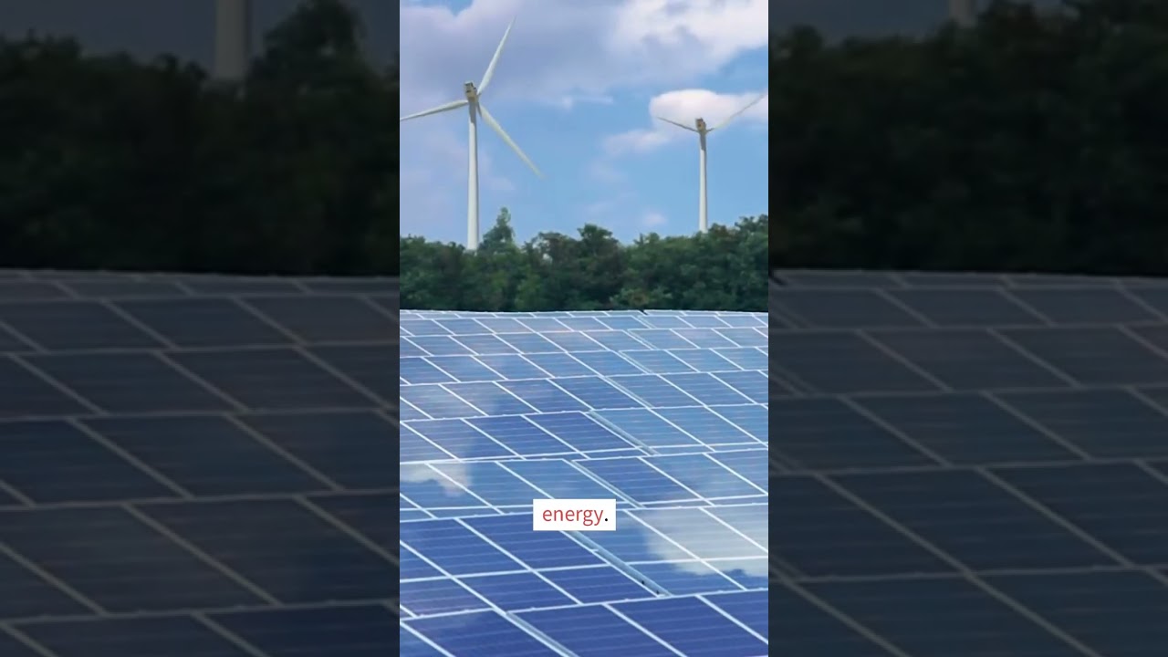 Saving Our Planet: 3 Ways to Fight Climate Change and Protect the Environment