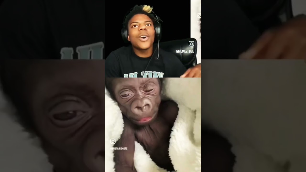 @IShowSpeed reacting to the baby monkey 😂