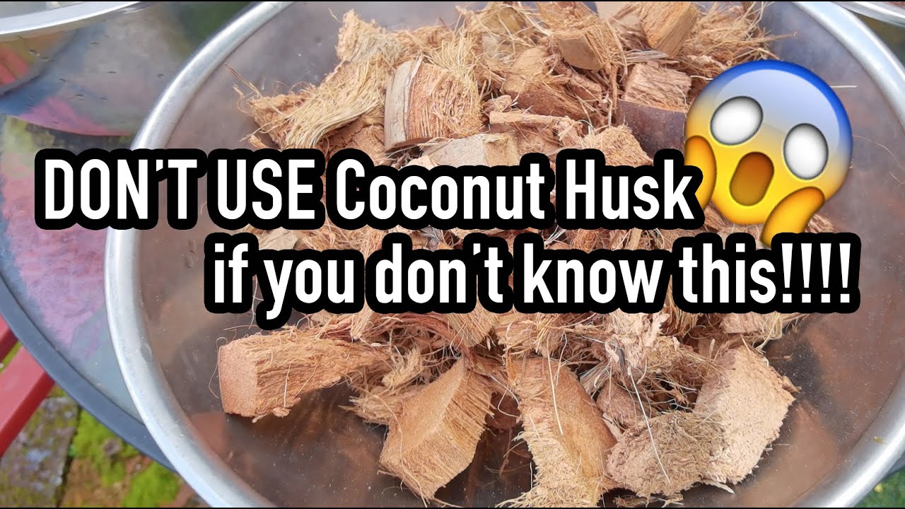 The Essential Guide to Using Coconut Husk in Gardening | Galaxy.ai