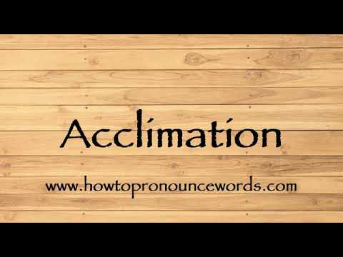 How To Pronounce Acclimation In American English ? How To say Acclimation in English.