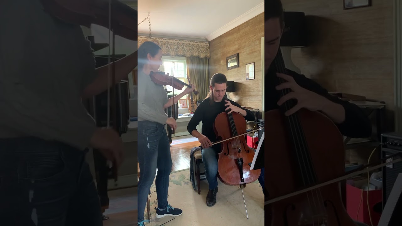 Hire Strolling strings - Violinist in Cleveland, OH | GigSalad