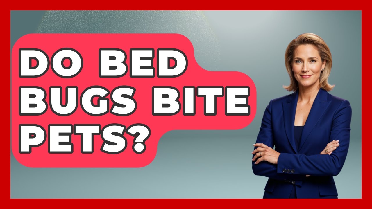 Do Bed Bugs Bite Pets? - Insects and Invaders