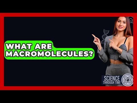 What Are Macromolecules? - Science Through Time