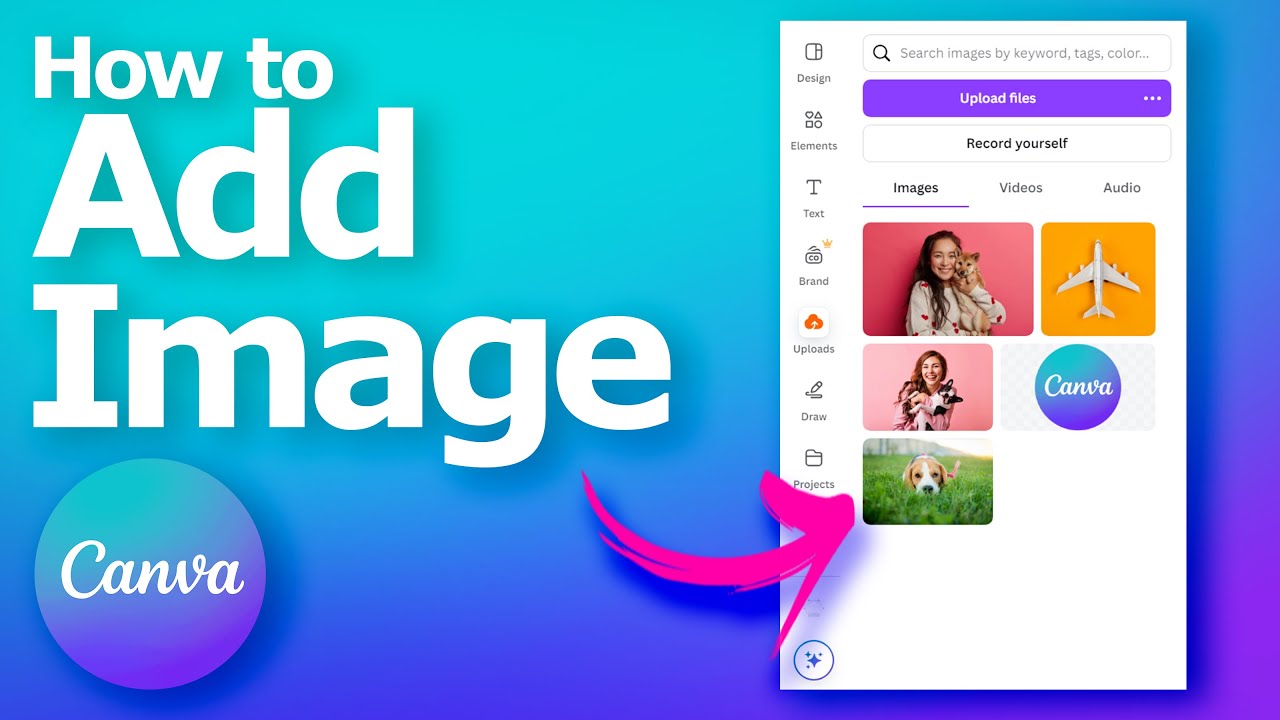 How to add image in Canva for Beginners
