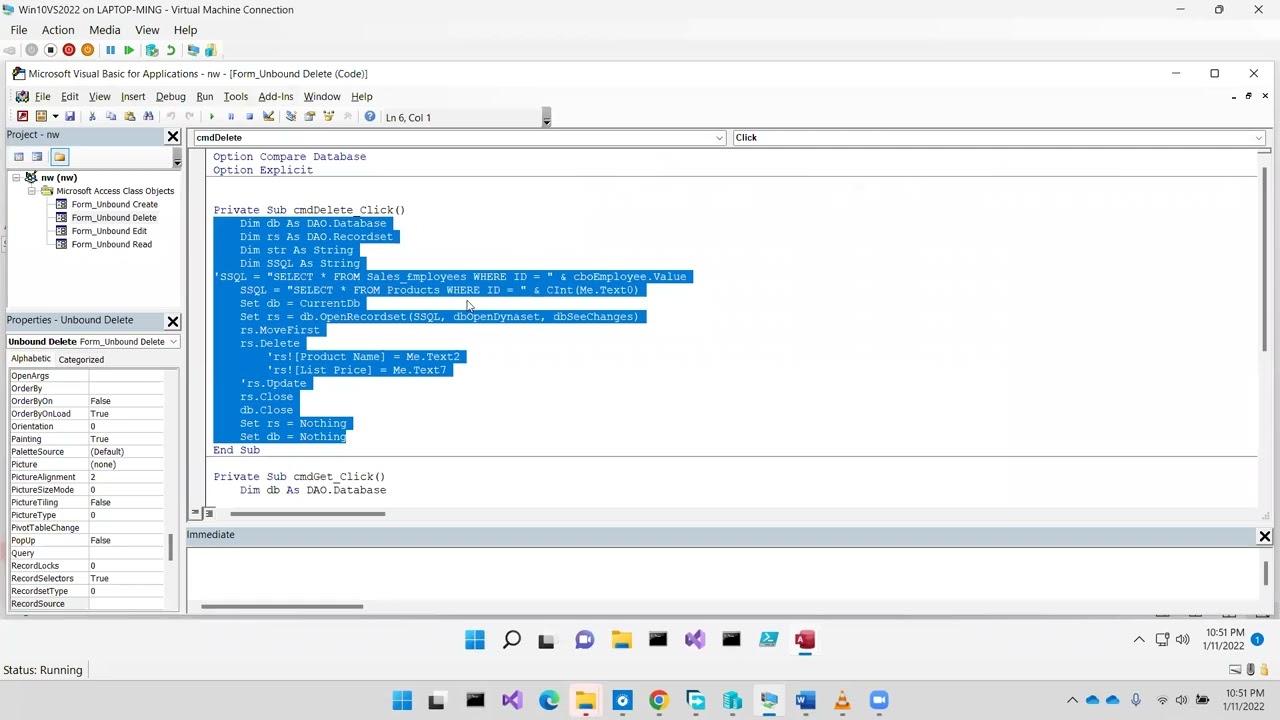 Microsoft Access VBA Delete data in Table
