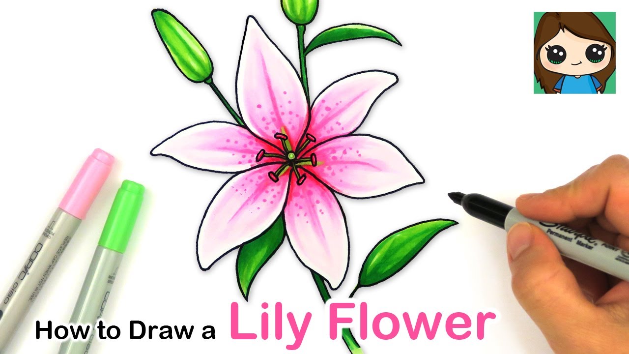 How to Draw a Lily Flower Easy