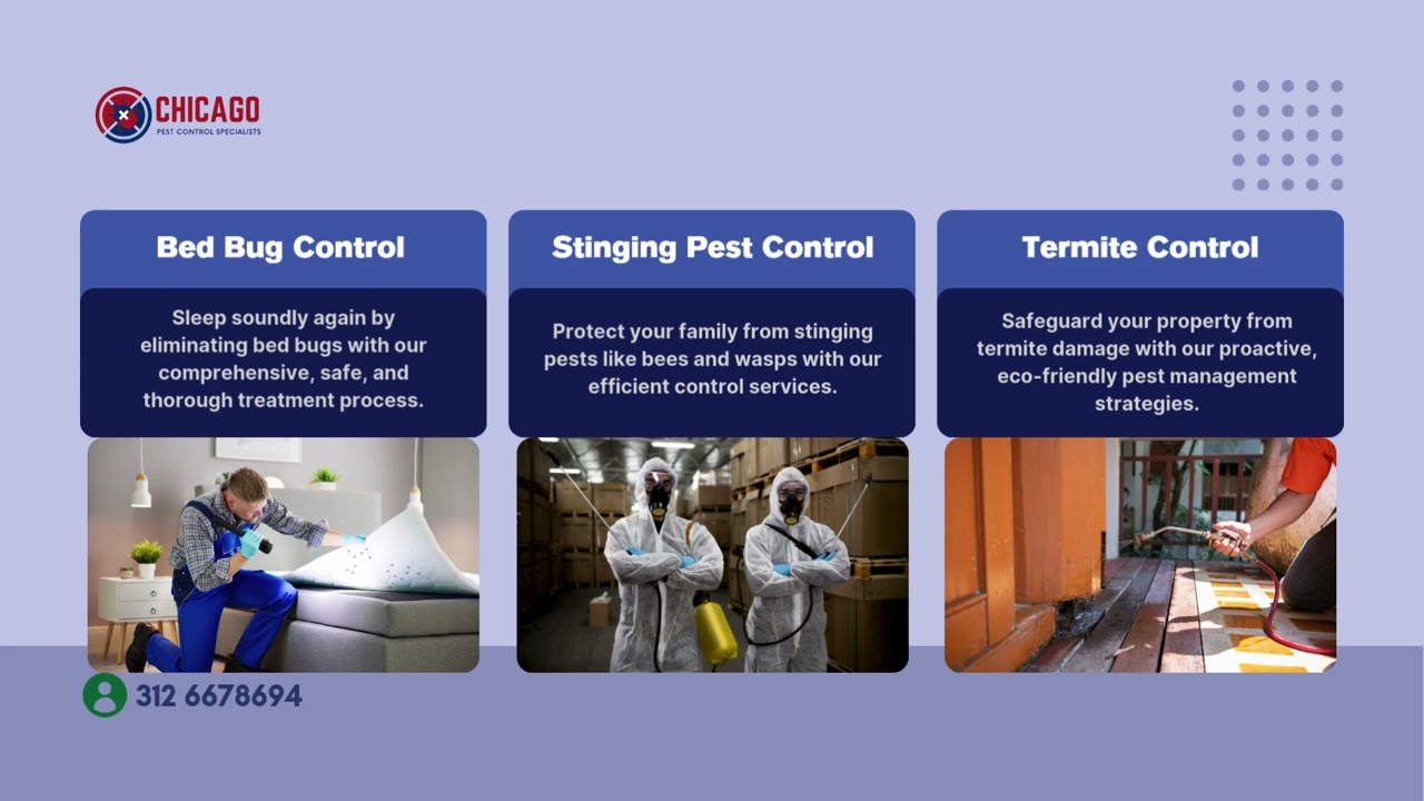 Chicago Pest Control Specialists