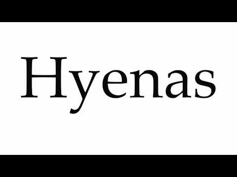 How to Pronounce Hyenas