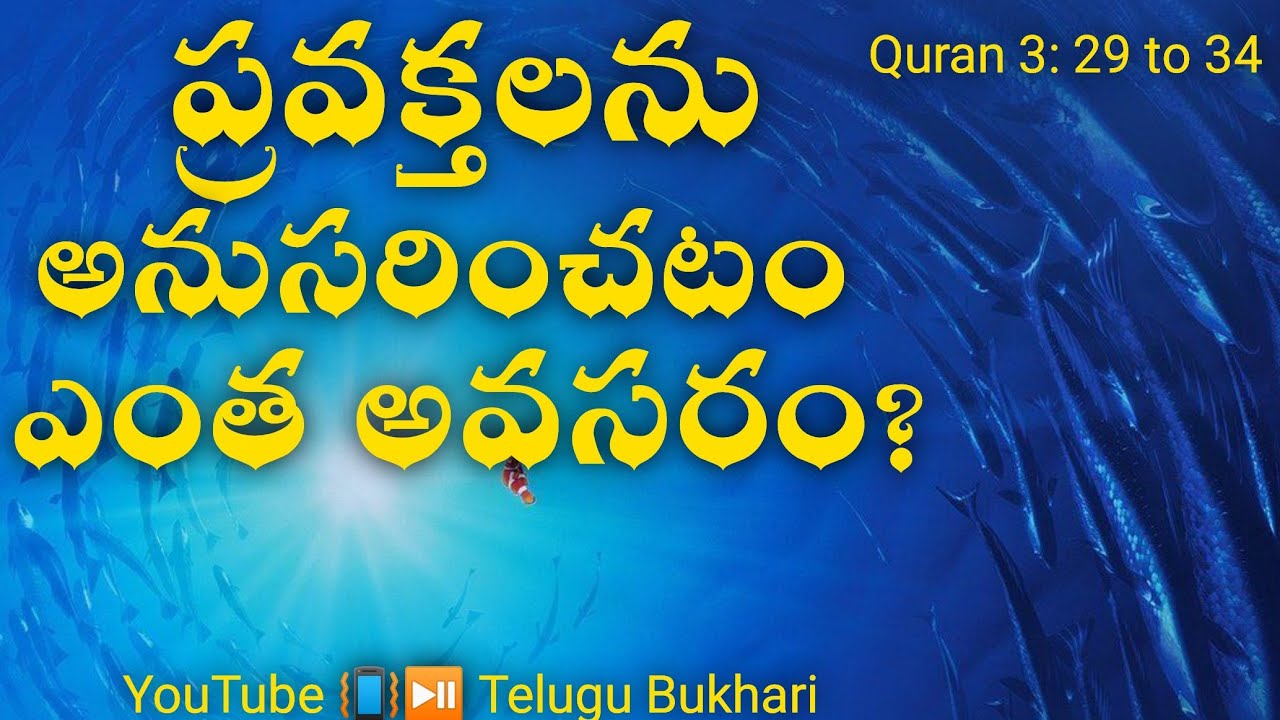 Surah Ali Imran 3 29 to 34 Al Quran al Kareem