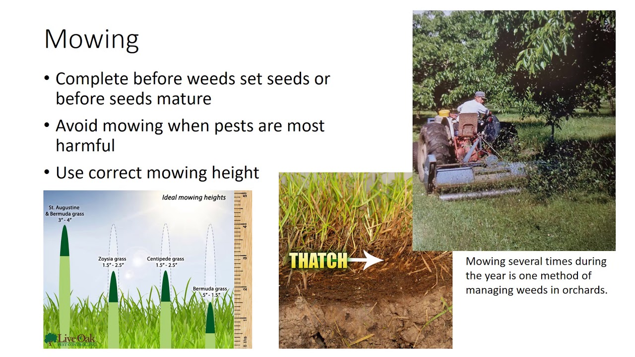IPM - Mechanical and Physical Pest Control