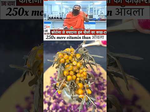 Sea Buckthorn Benefits| Sea Buckthorn Uses #seabuckthorn