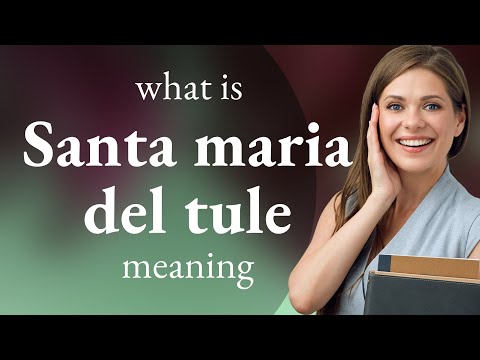 Santa maria del tule | what is SANTA MARIA DEL TULE meaning