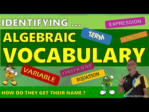 Algebra Vocabulary