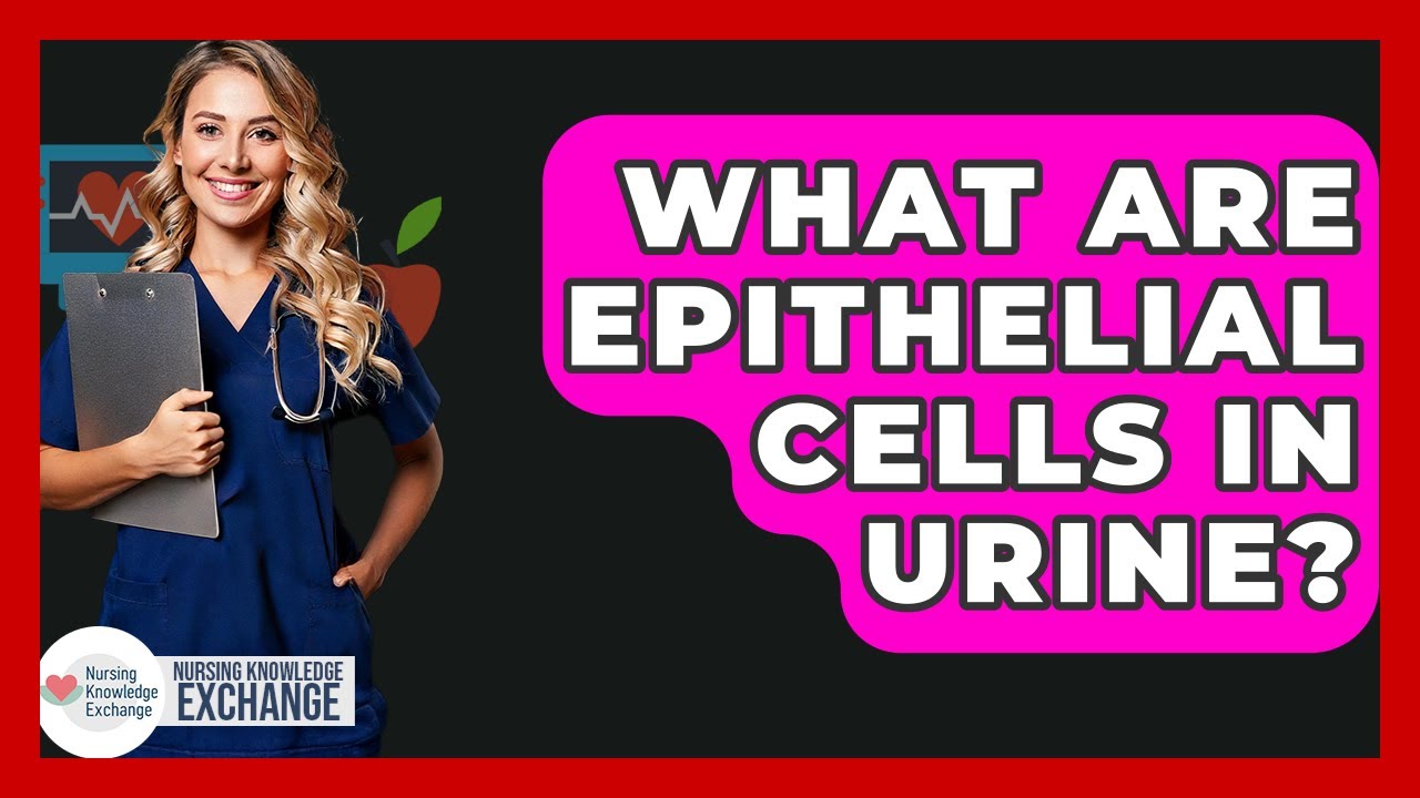 What Are Epithelial Cells In Urine? - Nursing Knowledge Exchange