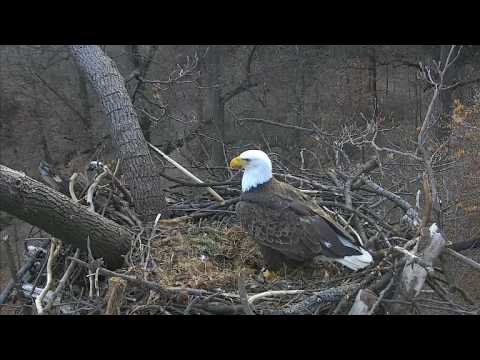 AEF DC Eagles - Mom Departs Hi Def test - 01/31/2017