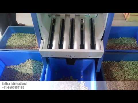 Kaju Grading Machine - Cashew Nut Grading Machine Latest Price ...