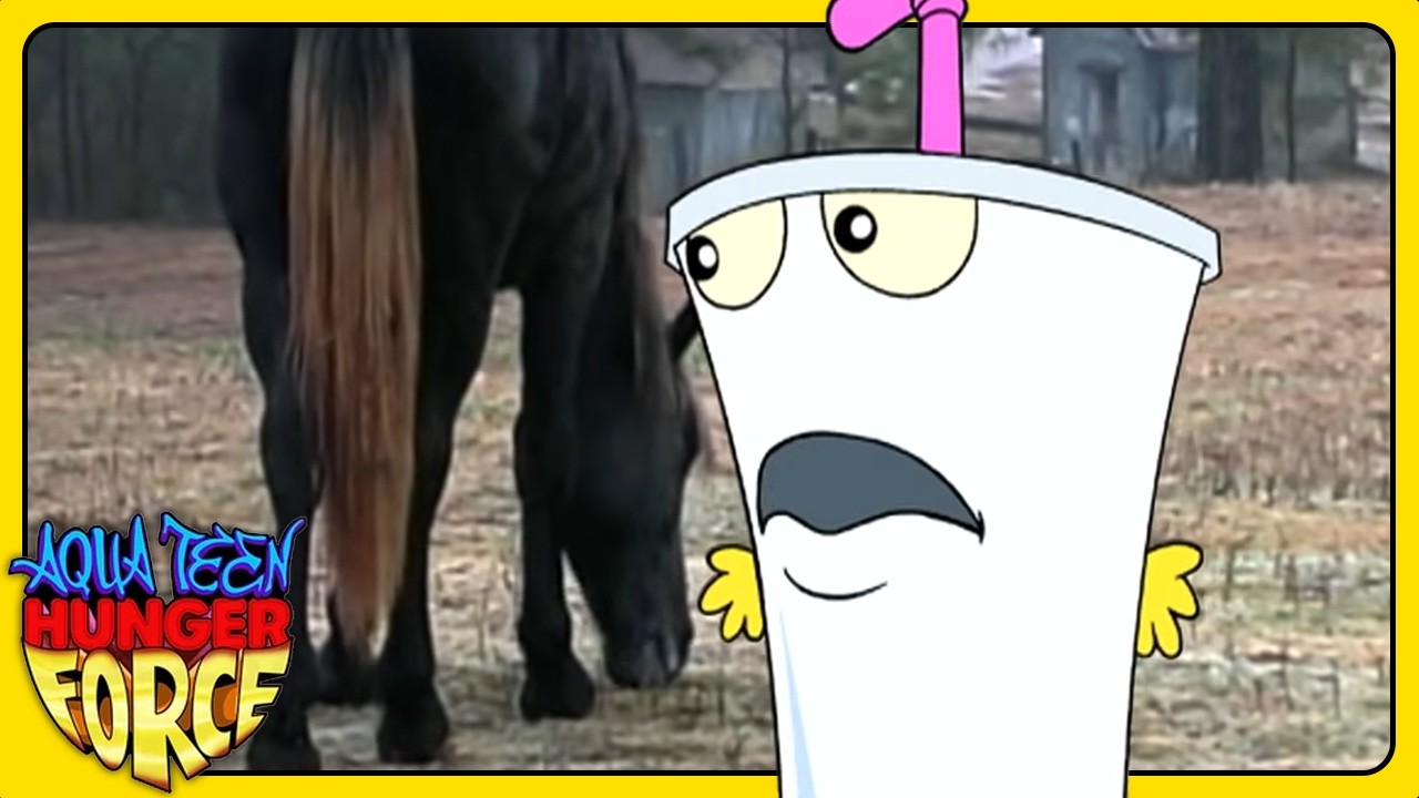 The Best (or Worst) of Master Shake: Season 1 | Aqua Teen Hunger Force | adult swim