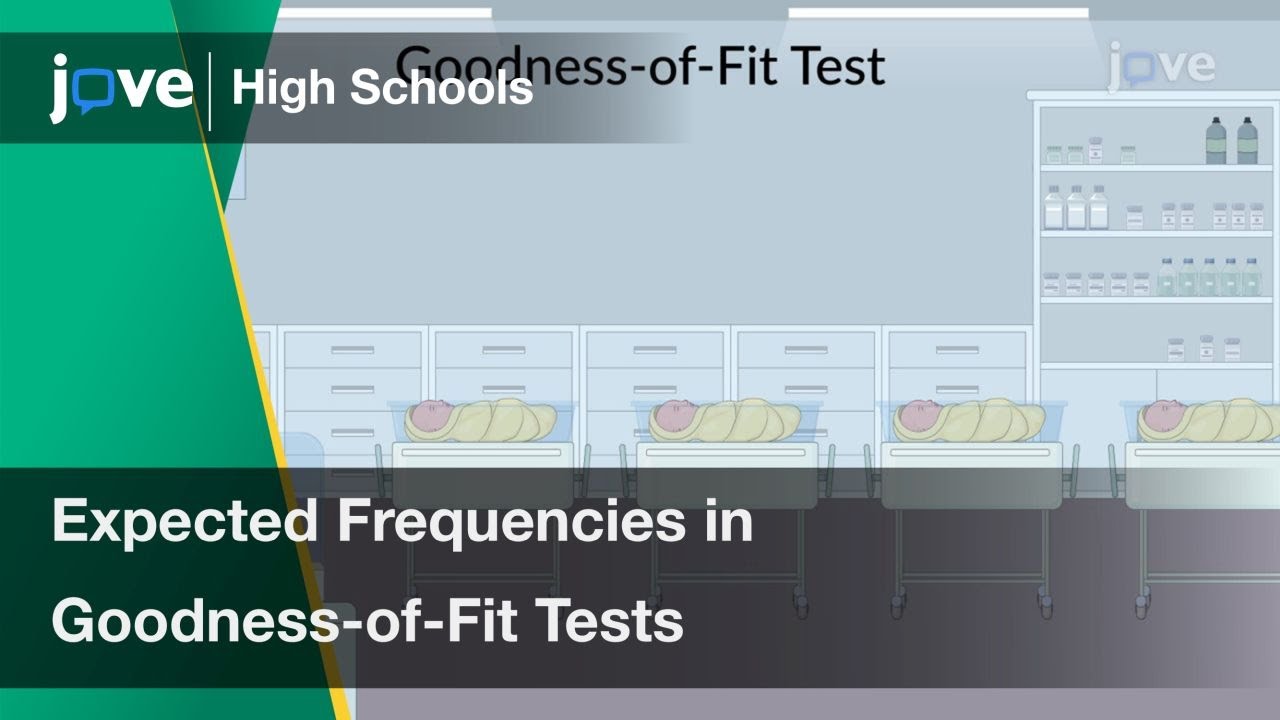 Expected Frequencies in Goodness-of-Fit Tests | Statistics | Video Textbooks - Preview