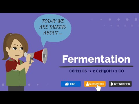 Fermentation | Definition | PCB Dictionary | Chemistry | Food Fermentation