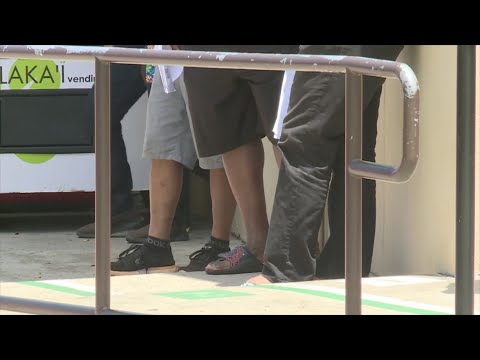 Hawaii extends renewal date for expired driver's licenses, IDs to October