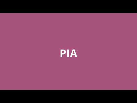 what is the meaning of PIA