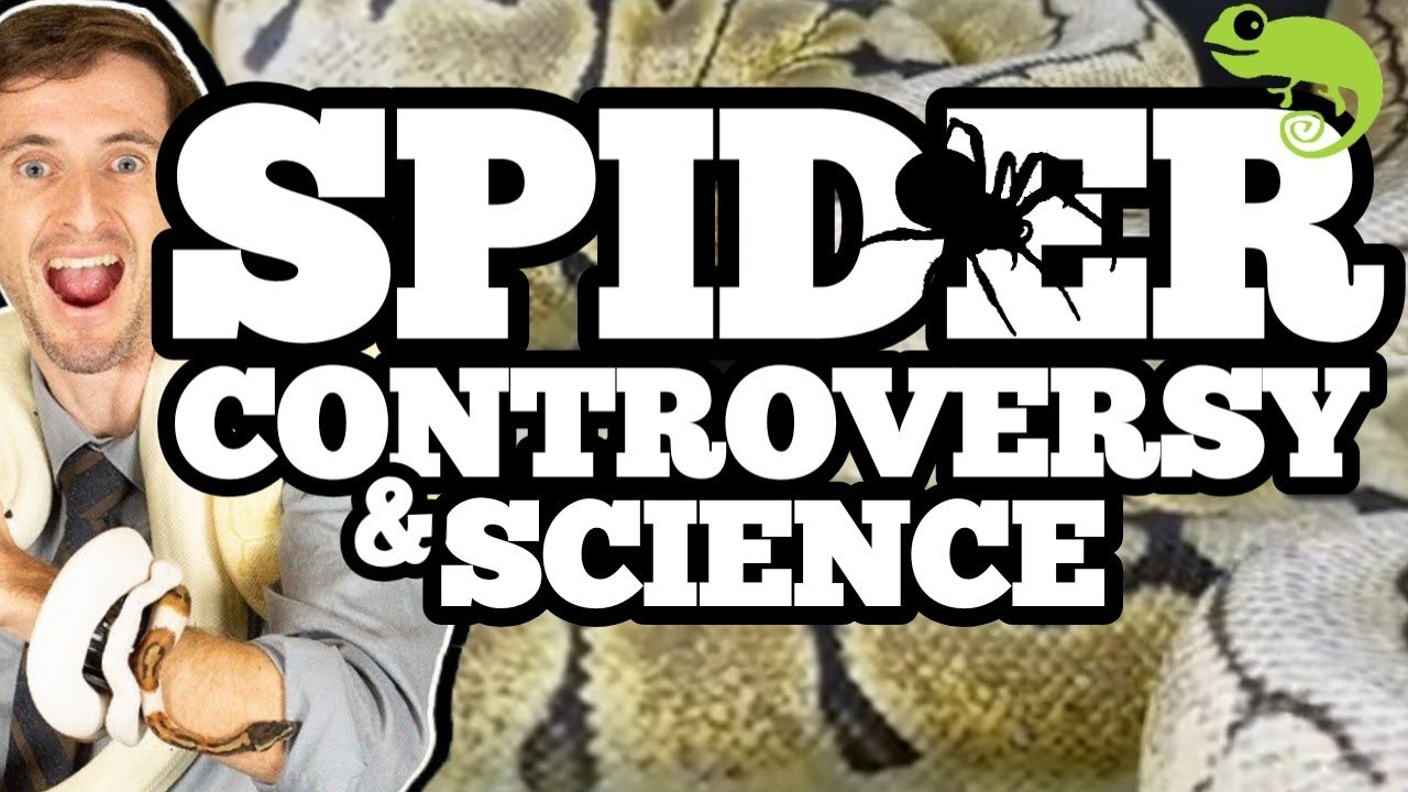 Spider Ball Pythons - The Biology and Controversy of Wobble
