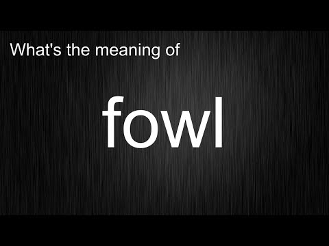 What's the meaning of "fowl", How to pronounce fowl?