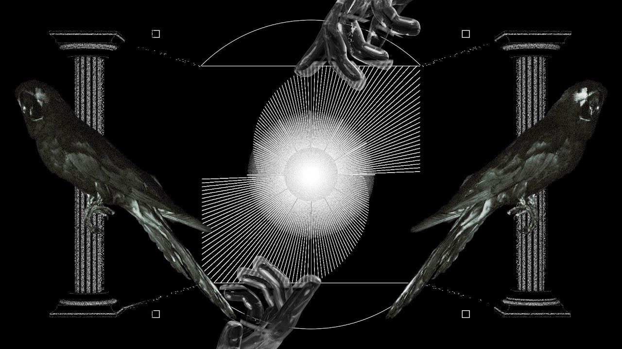 Free Vj Loop 29